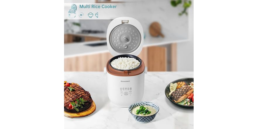 Eamoment Mini Rice Cooker
