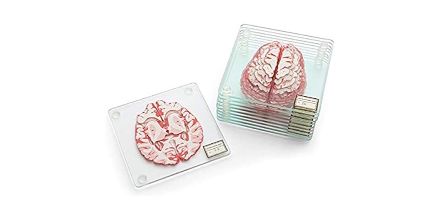 Brain Specimen Glass Coasters