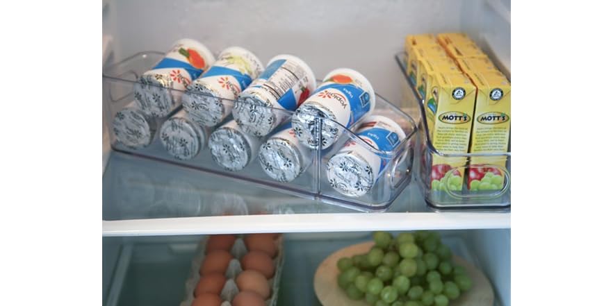 Core Fridge Bin 4x10x4 - Clear