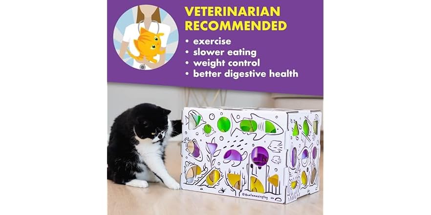 Cat Amazing Cat Treat Puzzle Box