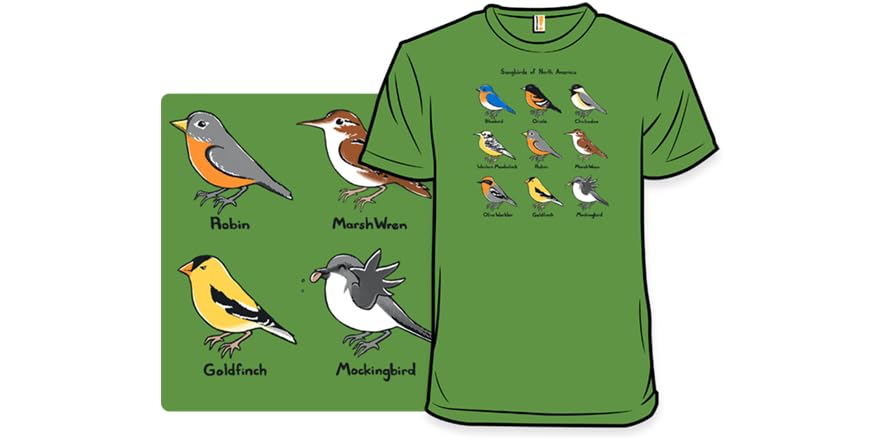 Songbirds of North America