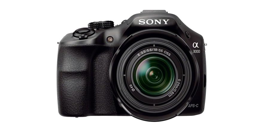 Sony 20.1MP Interchangeable Lens Digital Camera