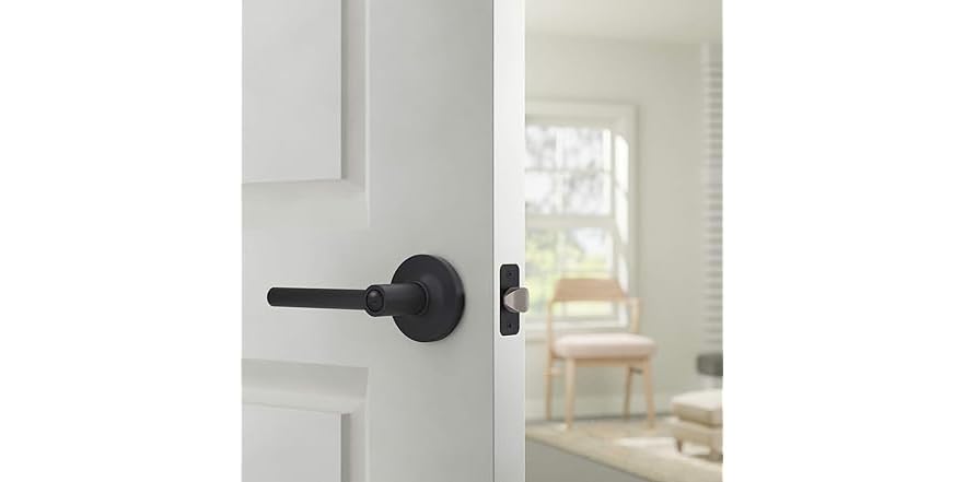 Amazon Basics Contemporary Madison Door Lever