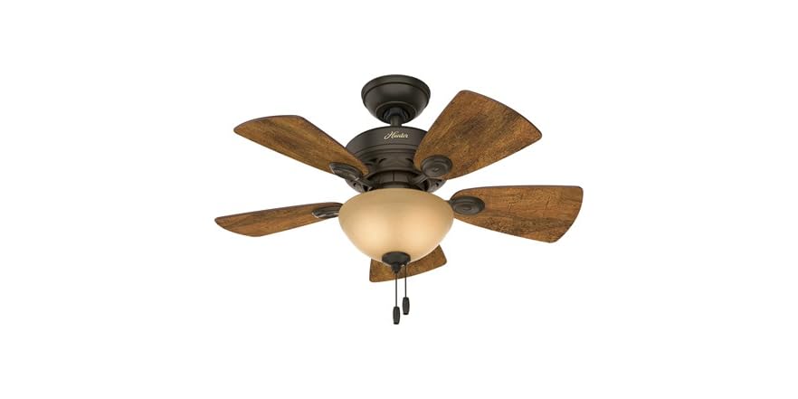 Hunter Watson Indoor Ceiling Fan