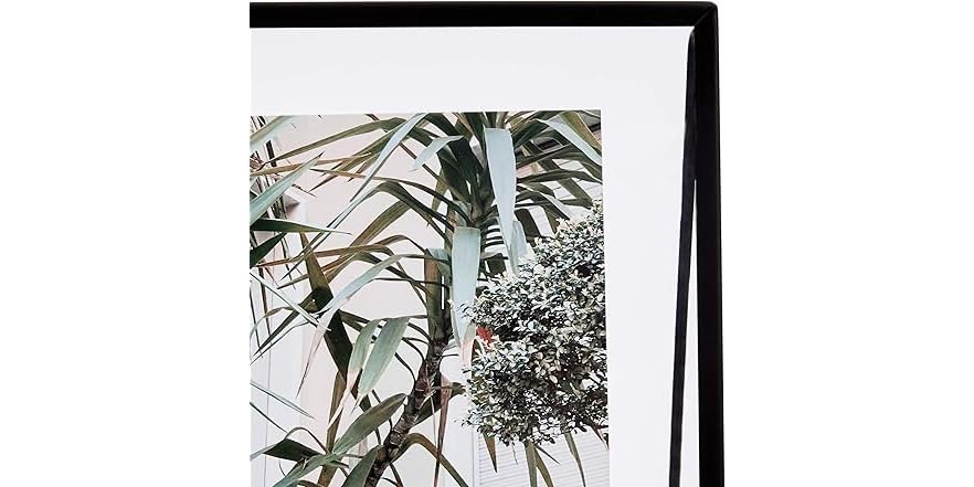 Amazon Basics Wedge Floating Photo Frame