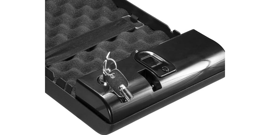 Portable Biometric Lock Box