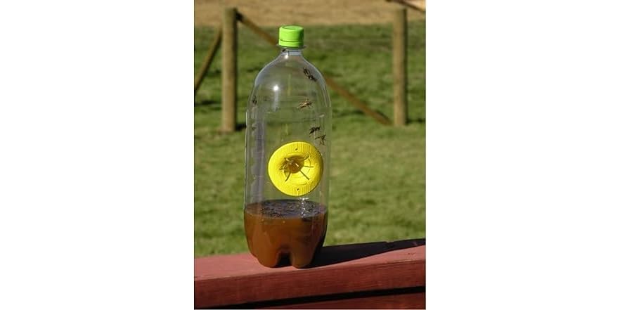 Fatal Funnel FFW-6P Wasp and Hornet Traps, 6-Pack