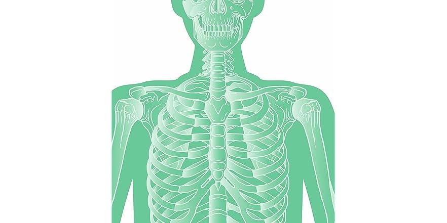Allen EZ Aim® Paper Target Assortment