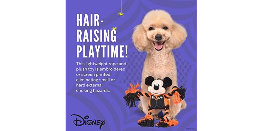 Disney Mickey Toy for Dogs