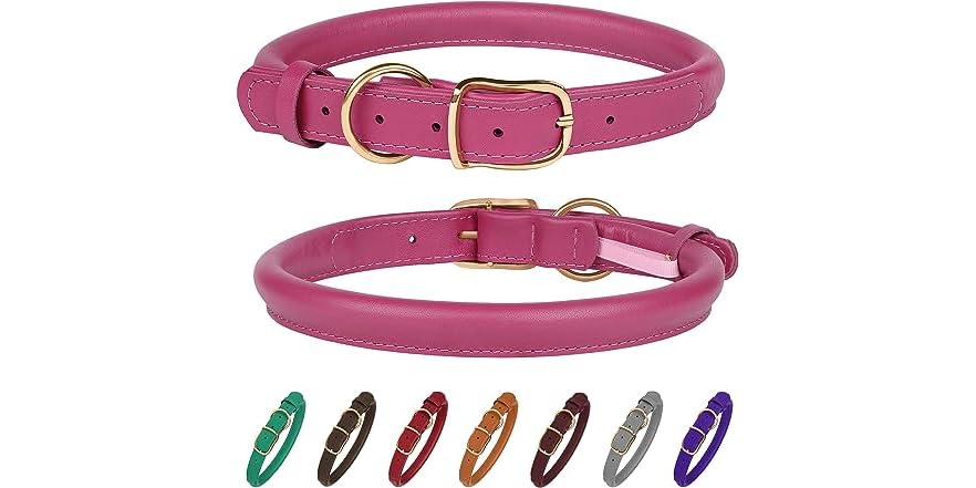 Rolled Leather Dog Collar