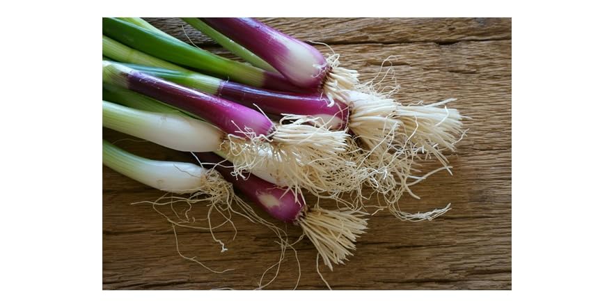 Bearded Onion Collection