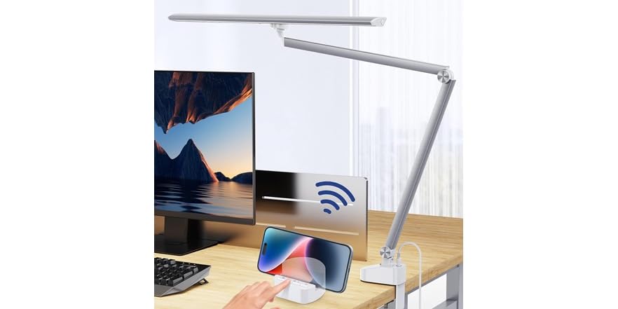Kary LED Desk Lamp