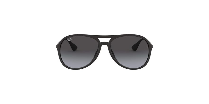 Ray-Ban Men's Rb4201 Alex Sunglasses