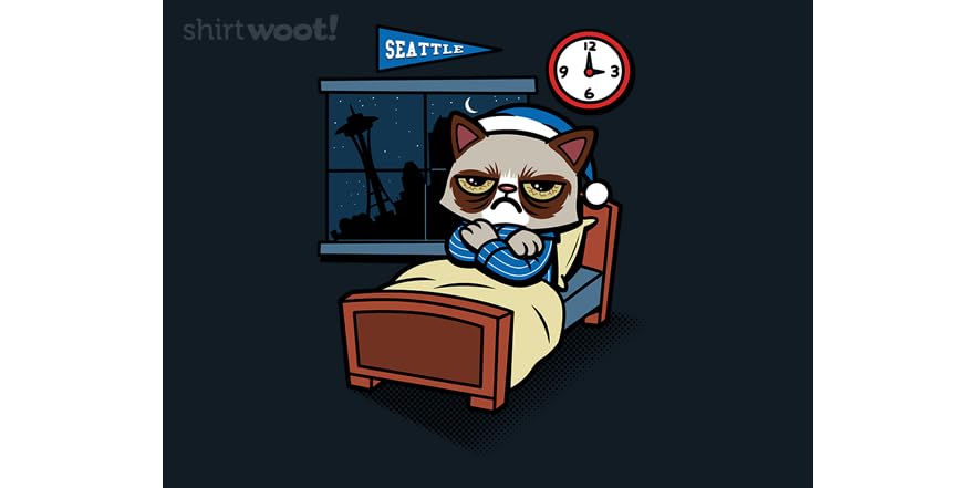 Sleepless and Grumpy In Seattle