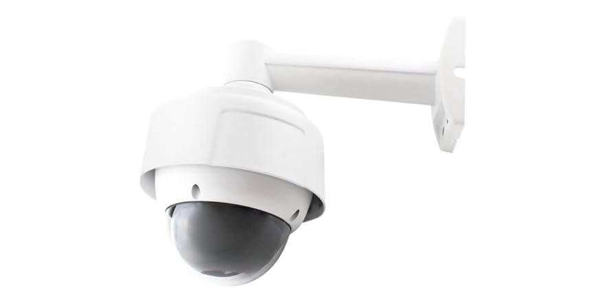Outdoor Wired Pan/Tilt IP Camera w/Sony CCD