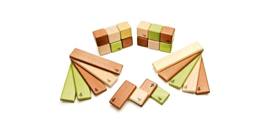 Tegu 26-piece Discovery Set