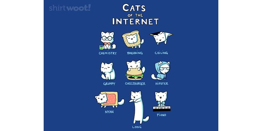 Cats Of The Internet