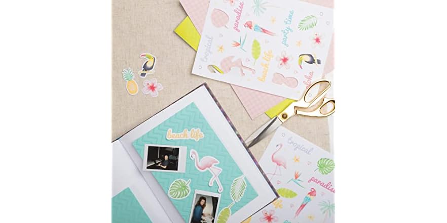 Avery Sticker Project Paper