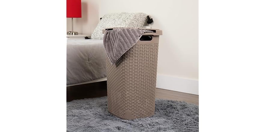 Mind Reader Slim Hamper 60L 2pk