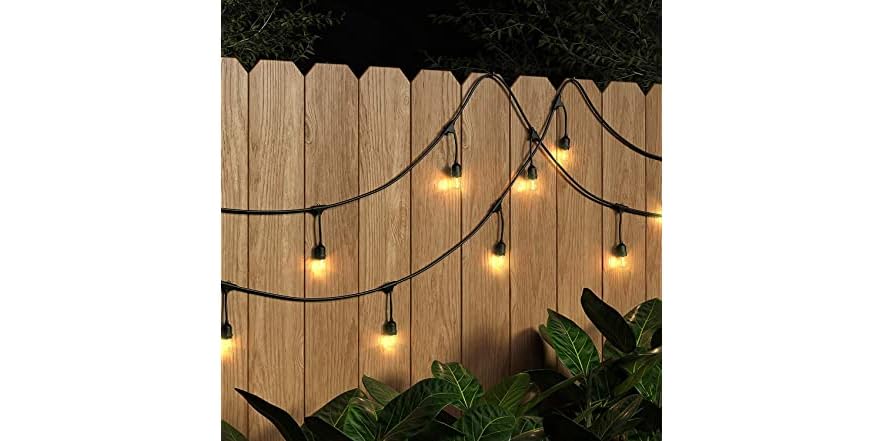 Amazon Basics 24-Foot Outdoor String Lights 472072