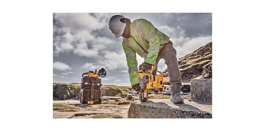DEWALT DCH293R2DH 20V MAX XR Rotary Hammer