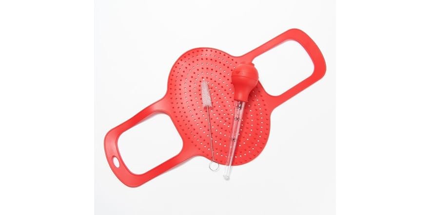 Ecolution Silicone Lifter & Baster