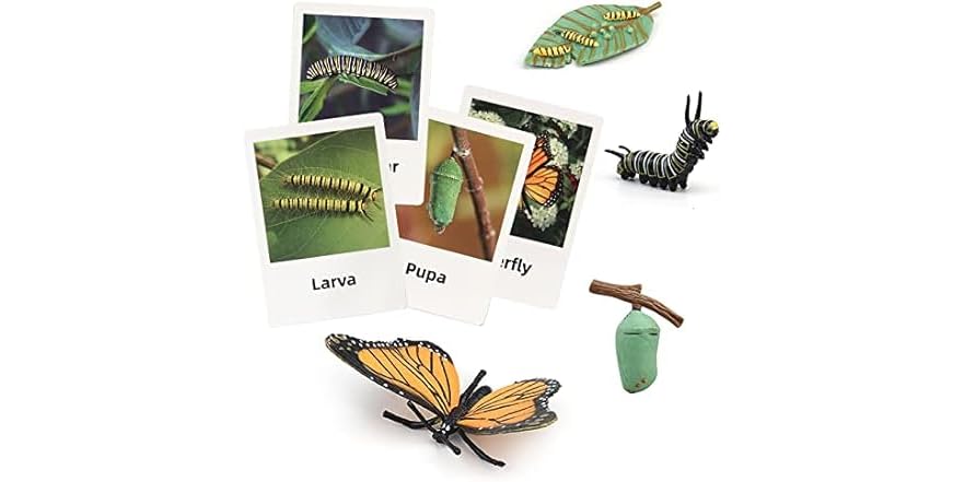 2 Pack Montessori Butterfly Figures