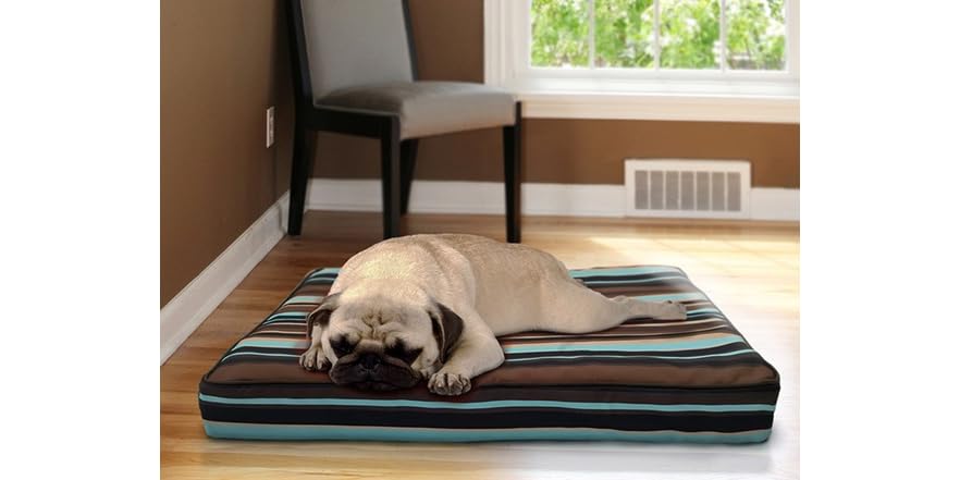 Indoor/Outdoor Pet Mat 2 Colors, 3 Sizes