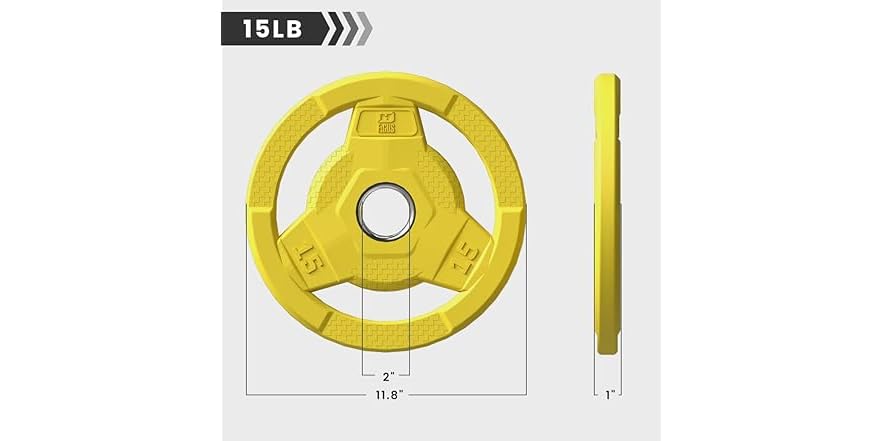 FAGUS H Weight Plate 2-Inch 15LB Pair