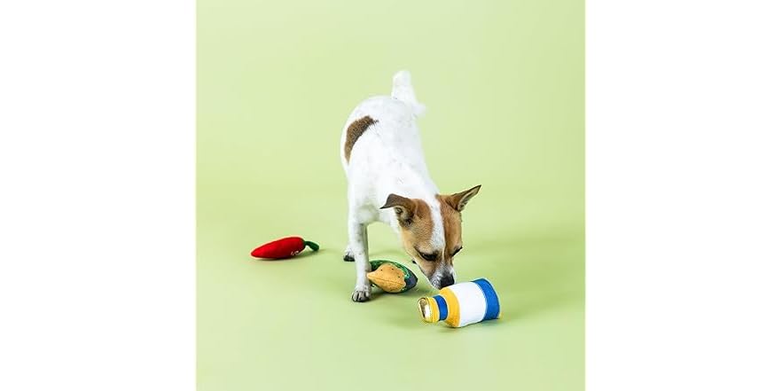 Fringe Studio "Happy Hour" Dog Toy Set