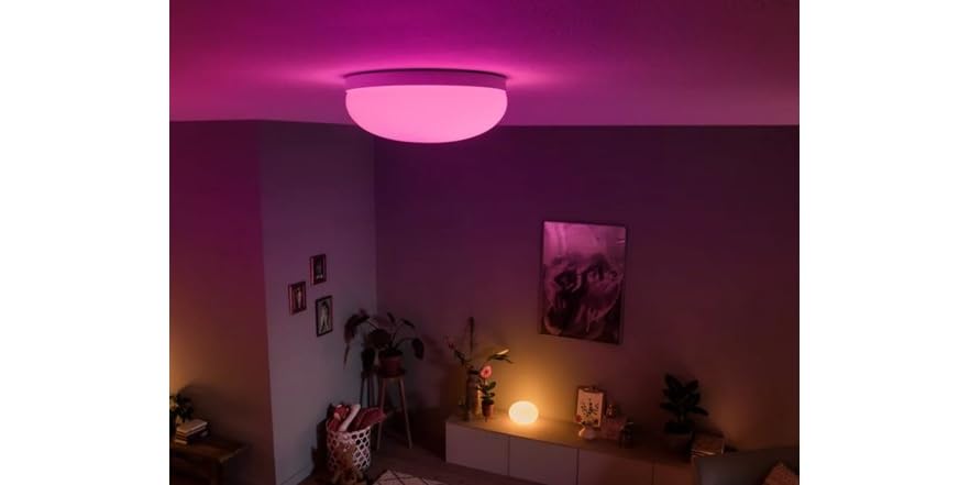 Philips Hue Flourish Ceiling Light