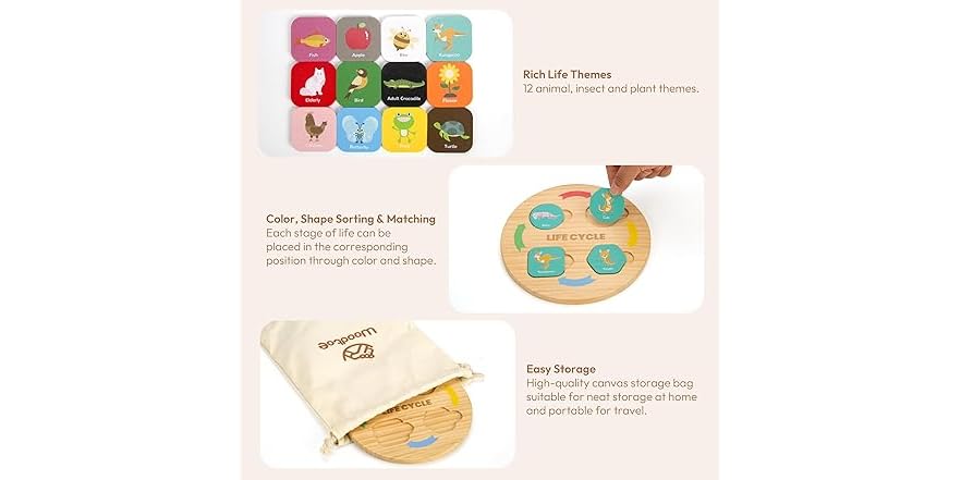 12 Themes Life Cycle Toys for Kids