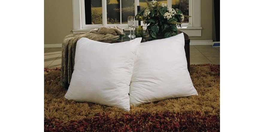 Euro Square Pillows - 2Pk
