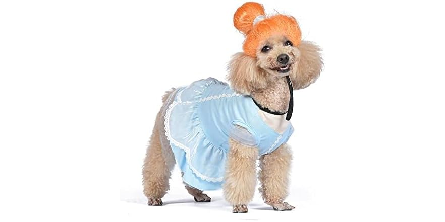 Disney for Pets Costume: Cinderella