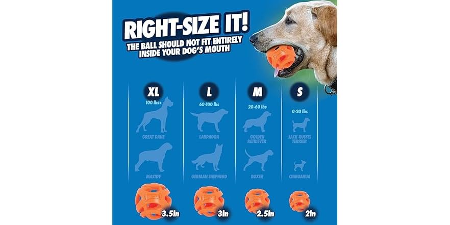 Chuckit Air Fetch Ball Dog Toy