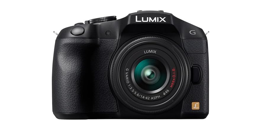 Panasonic 16MP Camera with 14-42mm Lens
