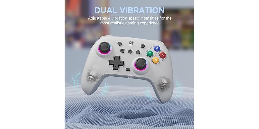 ECHTPower Controller for Switch Lite OLED