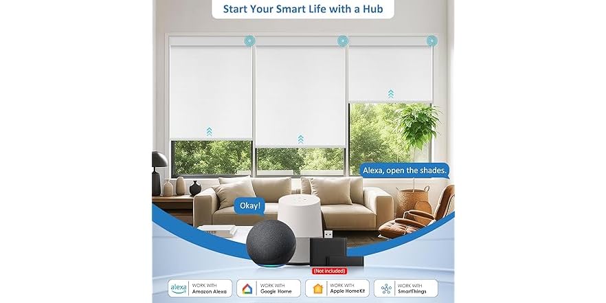 Smart Motorized Blinds