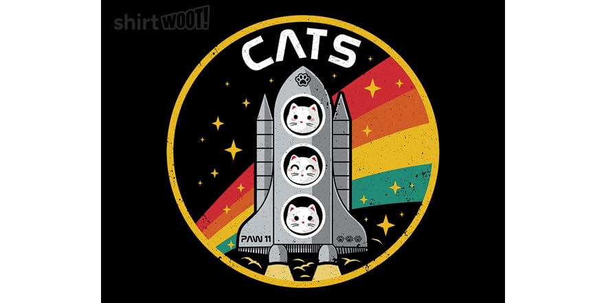 CATS - Space Division