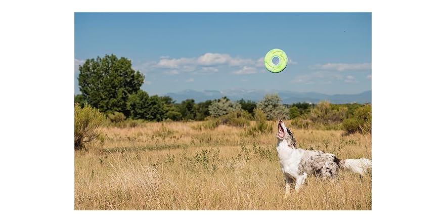 Chuckit! Amphibious ZipFlight Floating Flying Disc