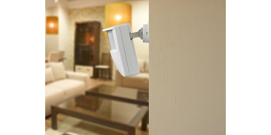 Skylink Security System