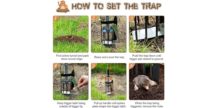 6 PC Spear Style Mole Garden Trap