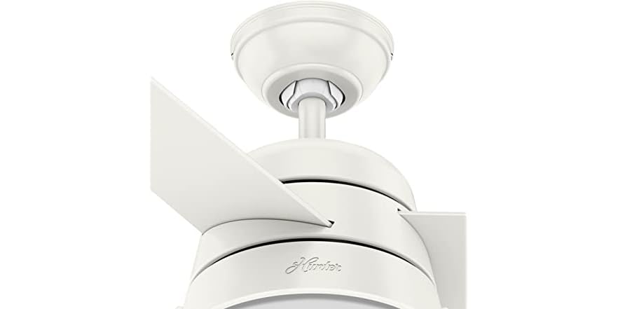 Hunter Fan 36 inch Ceiling Fan