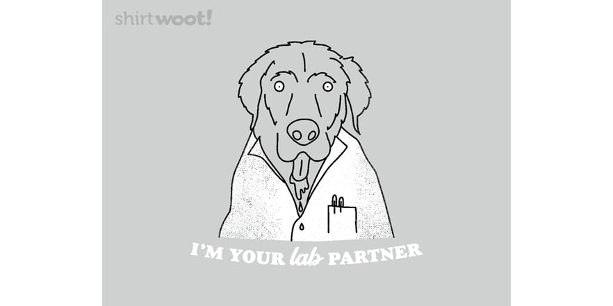 Lab Partner