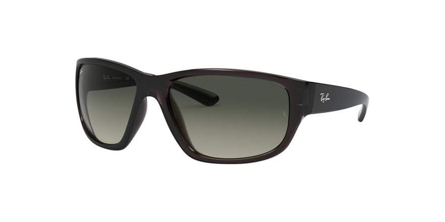 Ray-Ban Unisex 4300 Sunglasses