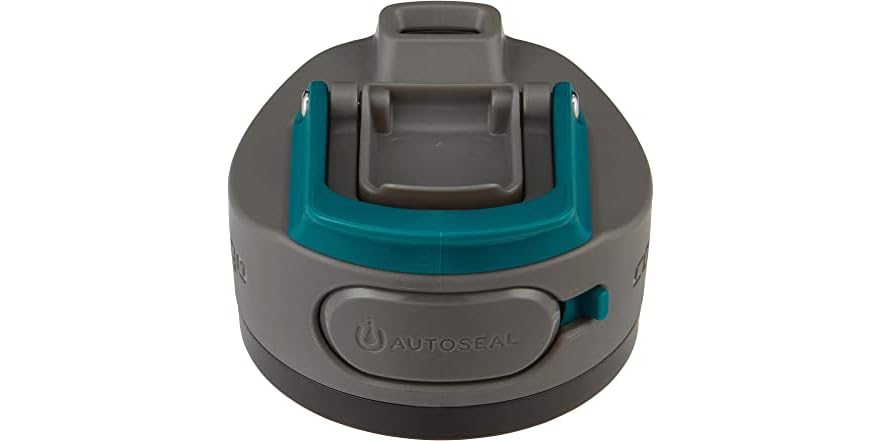 Contigo Autoseal Water Bottle