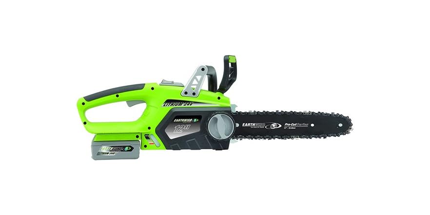 12" 24-Volt Cordless Chainsaw