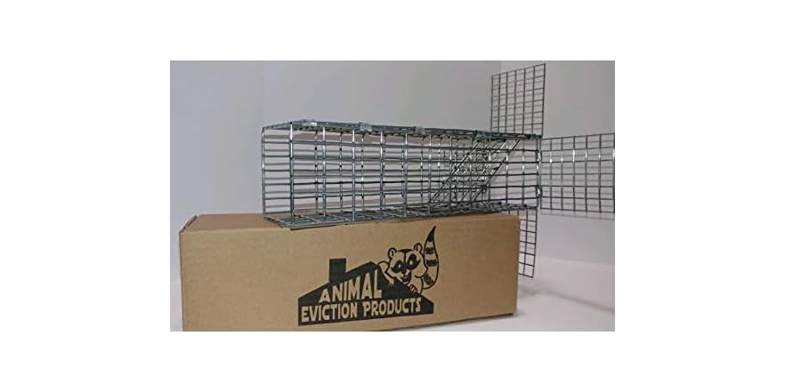 One Way Squirrel Door