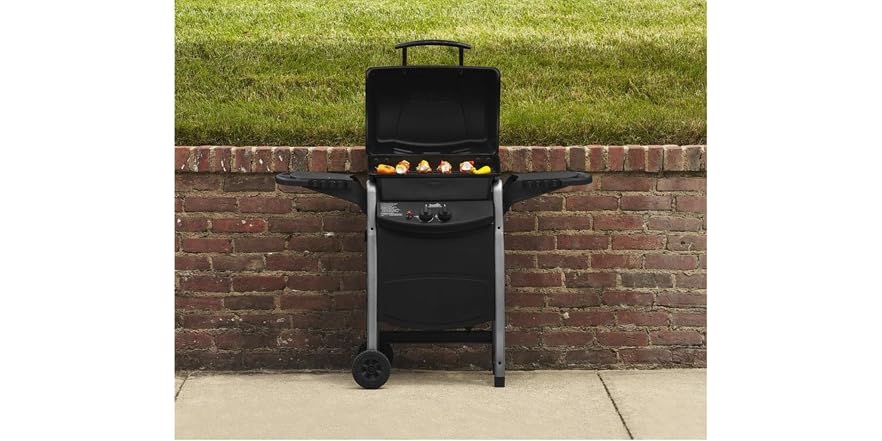 BBQ Pro 2-Burner Grill