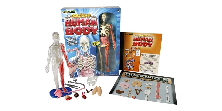 SmartLab Toys Squishy Human Body